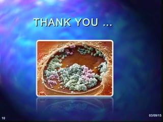 Chlamydia ; bacterial genus | PPT