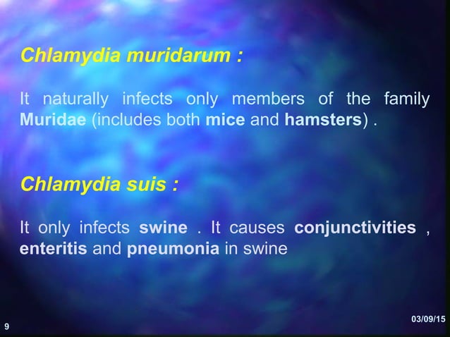 Chlamydia ; bacterial genus | PPT