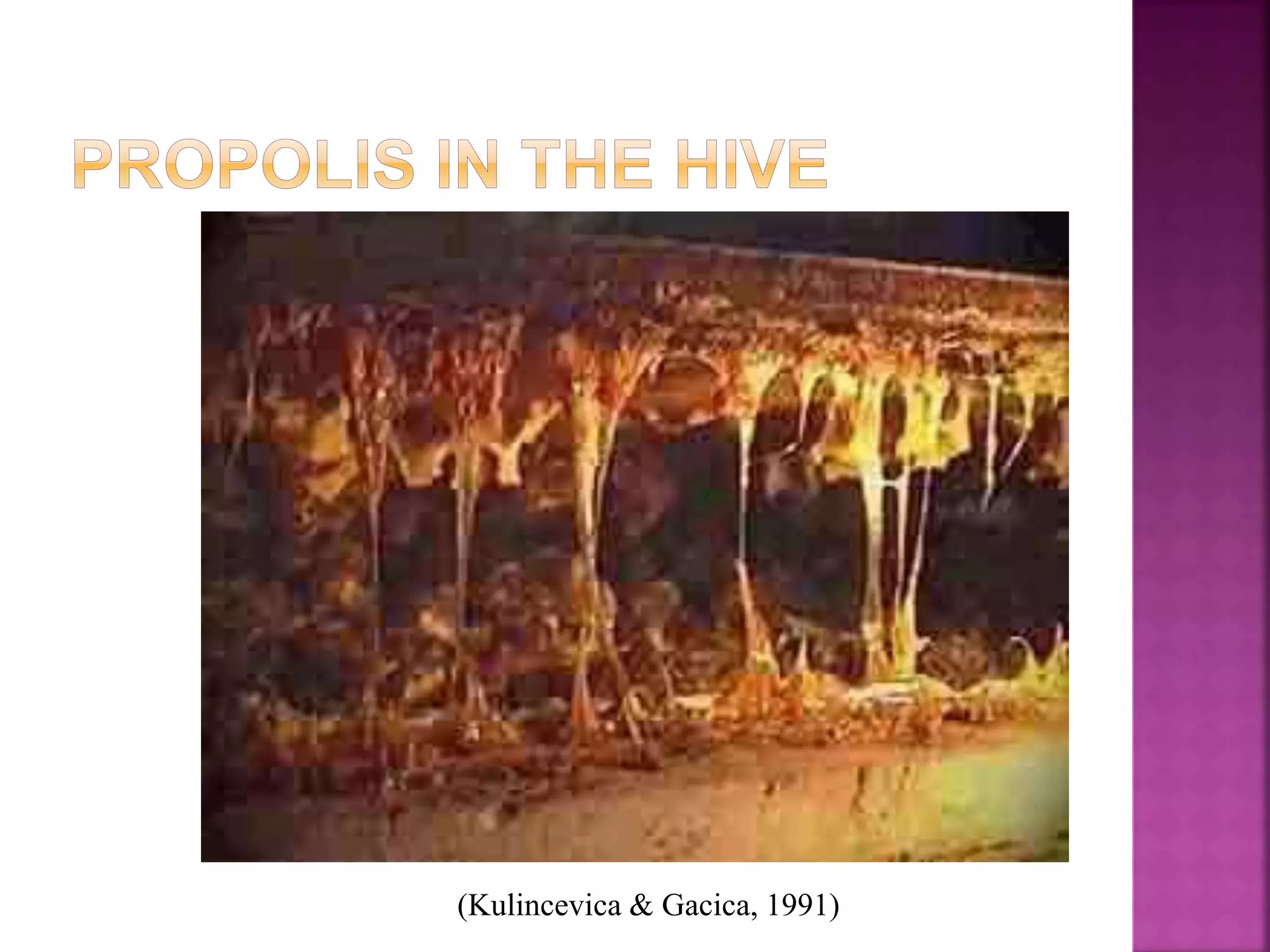 Antioxidant activity of Indian propolis and its chemical constituents | PPTX