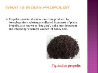 Antioxidant activity of Indian propolis and its chemical constituents | PPT