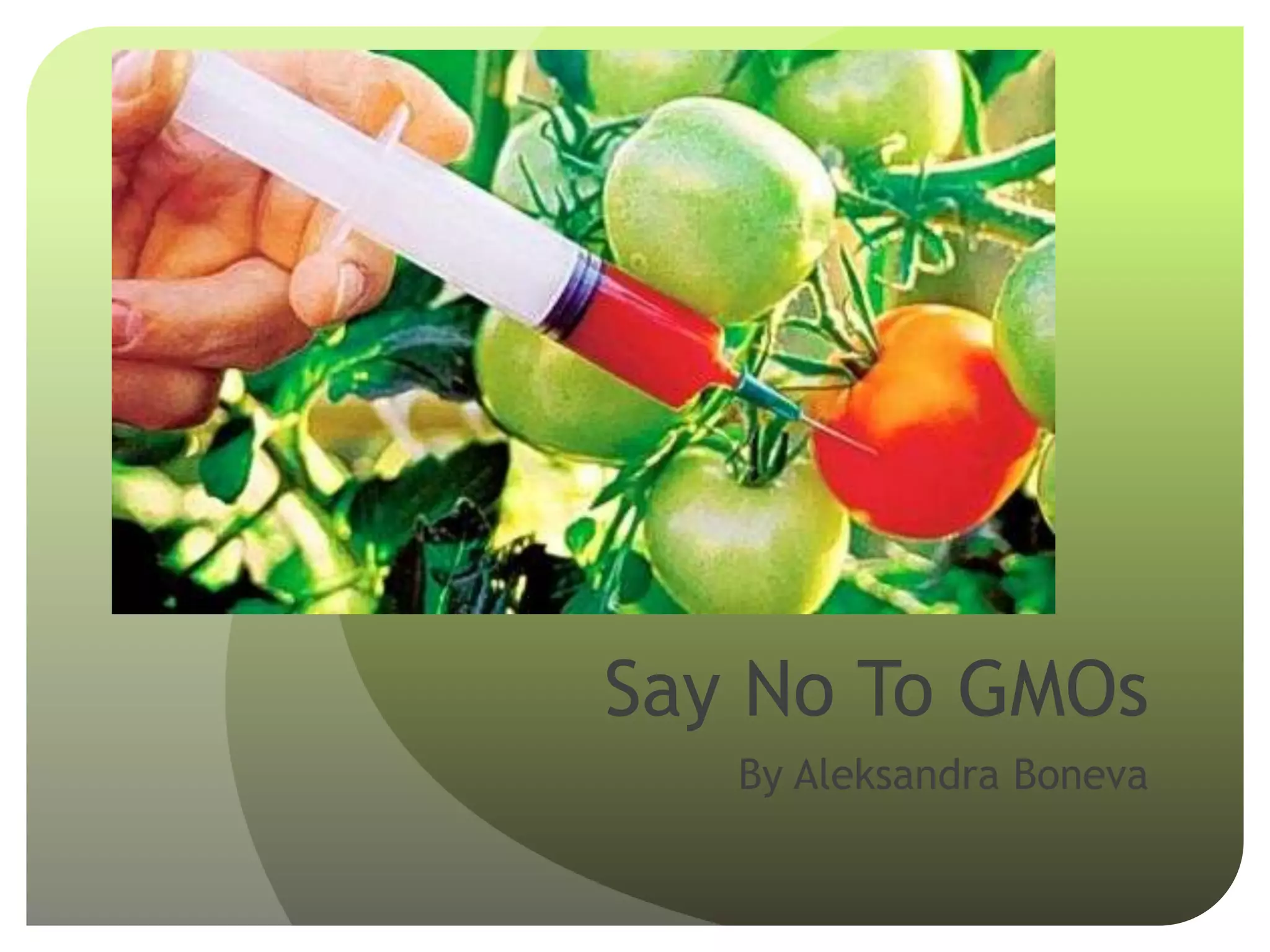 Say No To GMOs | PPT