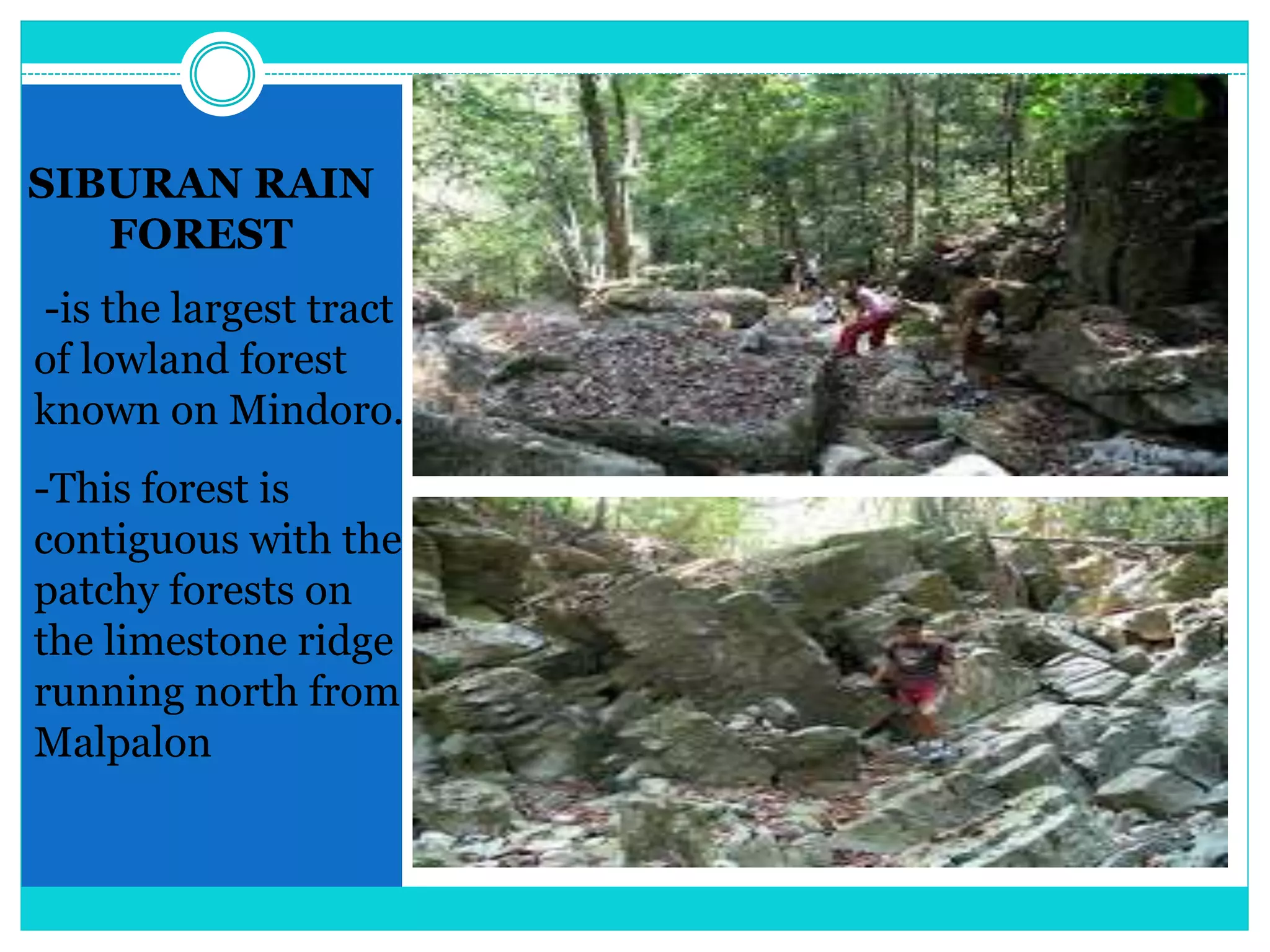 OCCIDENTAL AND ORIENTAL MINDORO | PPTX