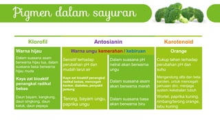 Sayur | PDF