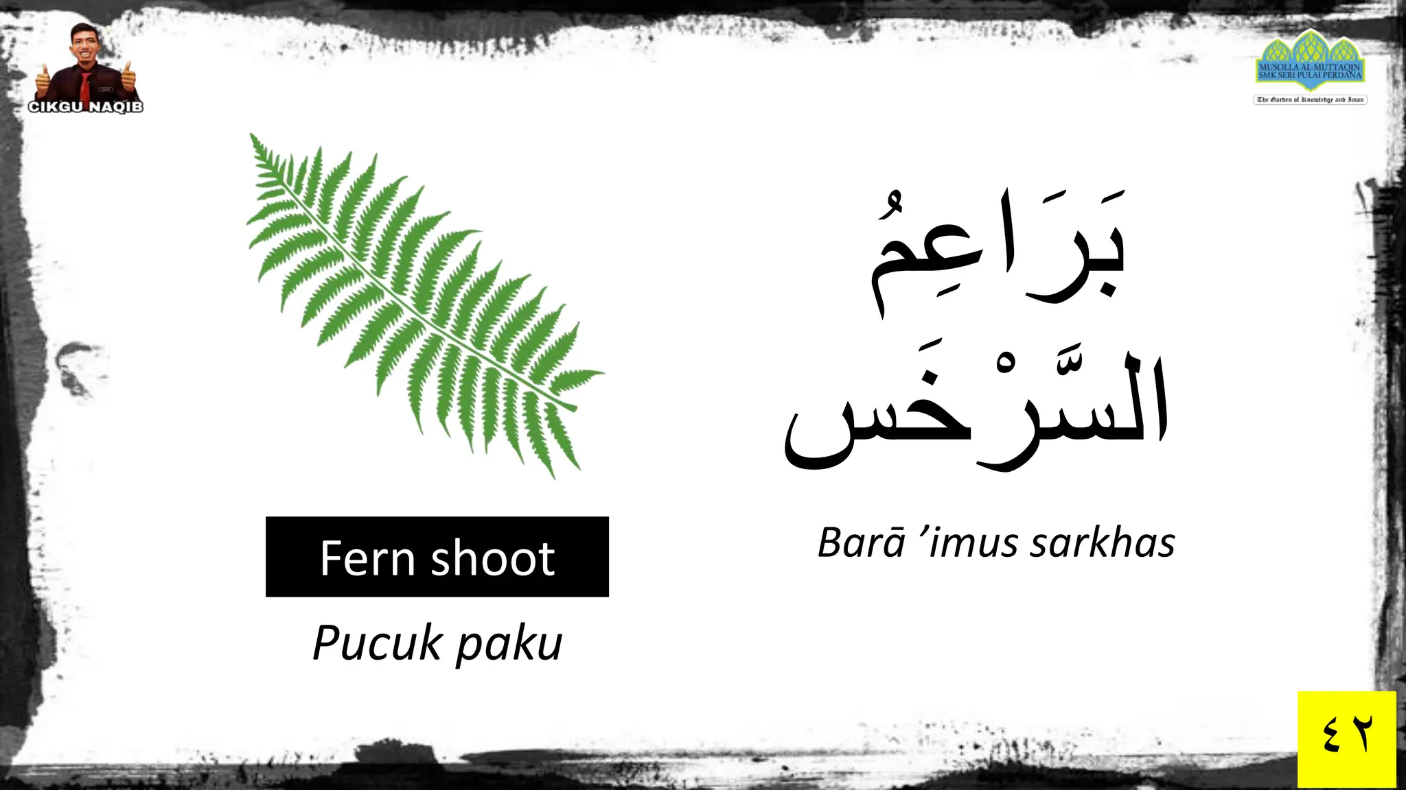 Sayur-sayuran (الخضروات) - Vegetables (Bahasa Arab) | PDF