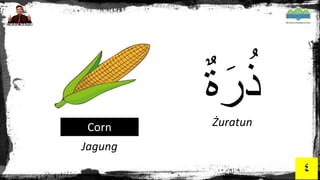 Sayur-sayuran (الخضروات) - Vegetables (Bahasa Arab) | PDF