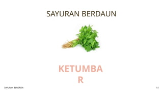 SAYURAN BERDAUN DALAM POKOK KEMAHIRAN HIDUP KEBUN PPKI.pptx