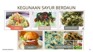 SAYURAN BERDAUN DALAM POKOK KEMAHIRAN HIDUP KEBUN PPKI.pptx