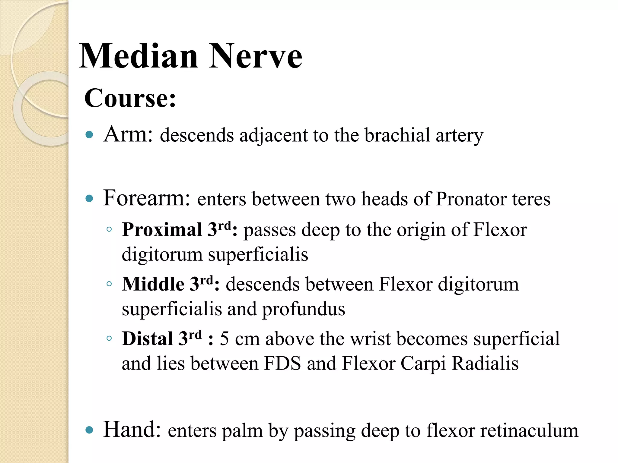 Peripheral Nerves of Upper Limb [Radial, Median & Ulnar nerve] | PPTX