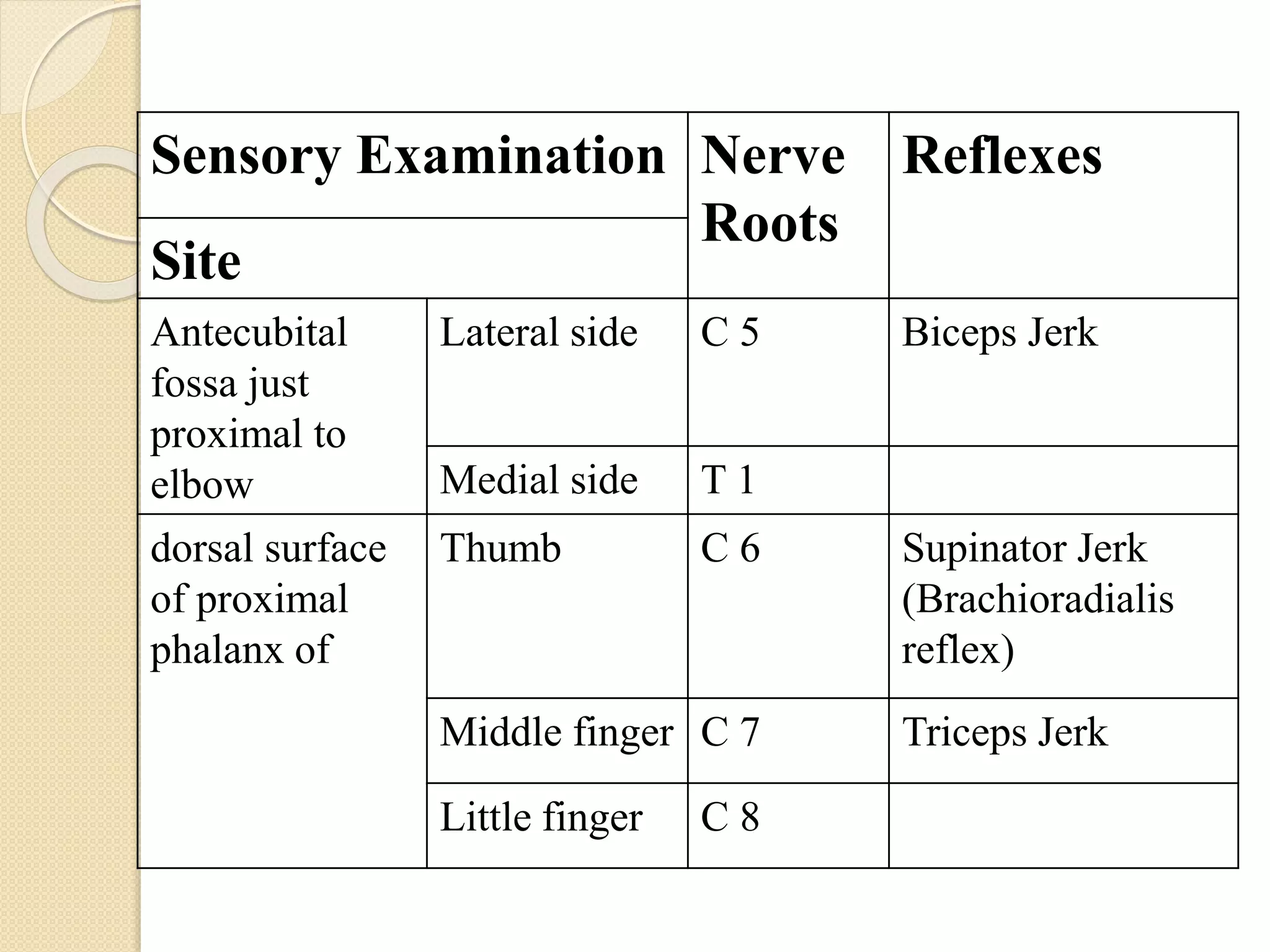 Peripheral Nerves of Upper Limb [Radial, Median & Ulnar nerve] | PPTX