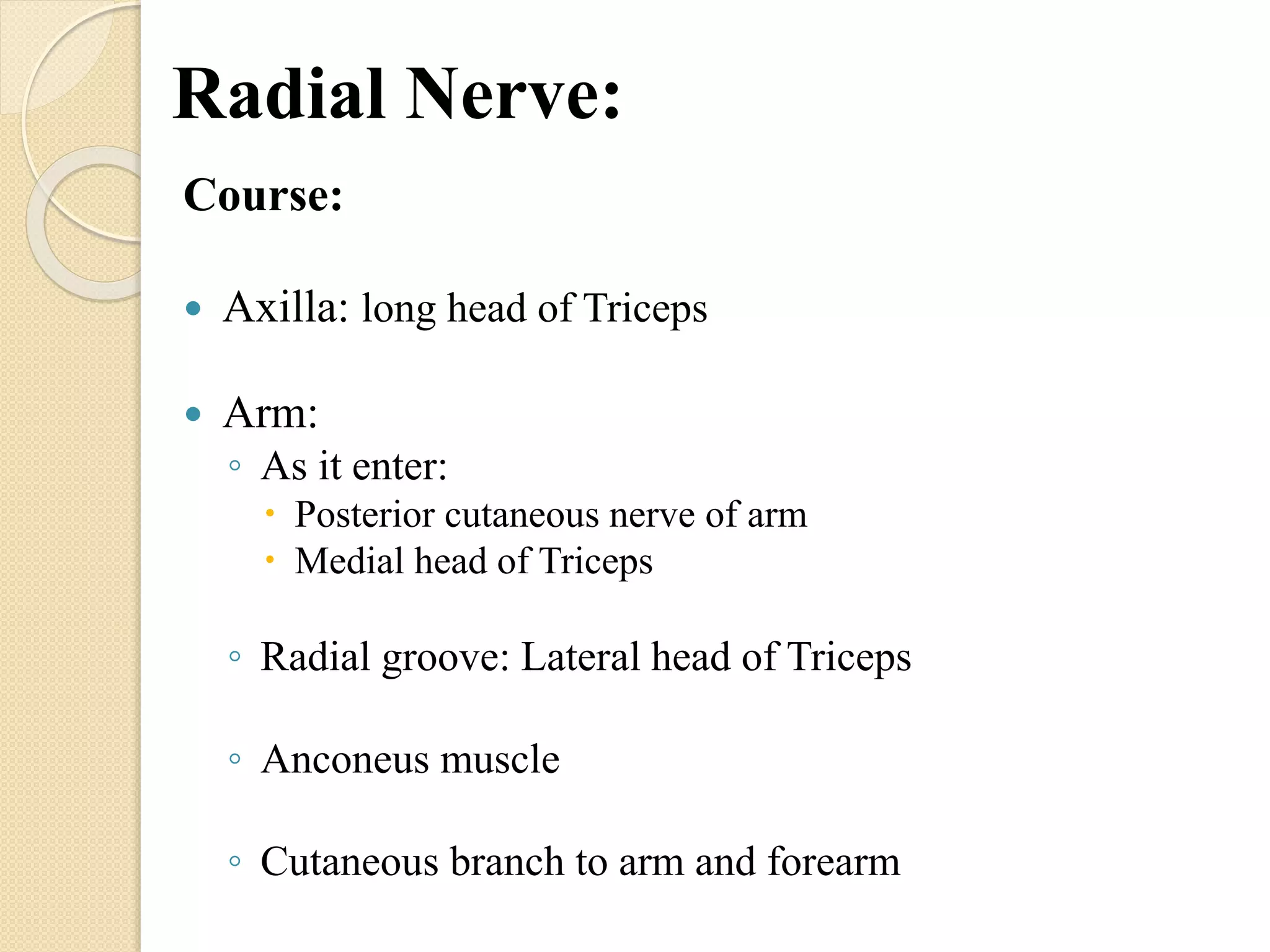 Peripheral Nerves of Upper Limb [Radial, Median & Ulnar nerve] | PPTX