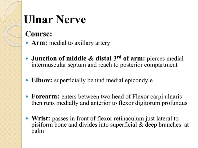 Peripheral Nerves of Upper Limb [Radial, Median & Ulnar nerve] | PPTX