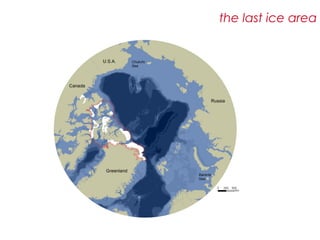 SB'12 - Peter Callaro - The Coca-Cola Company | PDF | Business ...