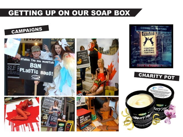 SB'12 - Shama Alexander - LUSH | PDF | Vegetarian Diets | Food & Drink