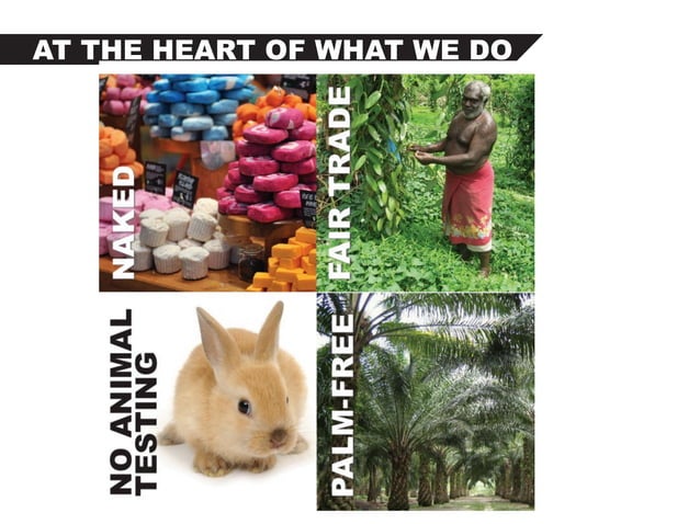 SB'12 - Shama Alexander - LUSH | PDF | Vegetarian Diets | Food & Drink