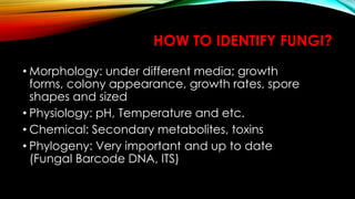 SB20103 Microbe Diversity: Microbe Identification Methods | PDF