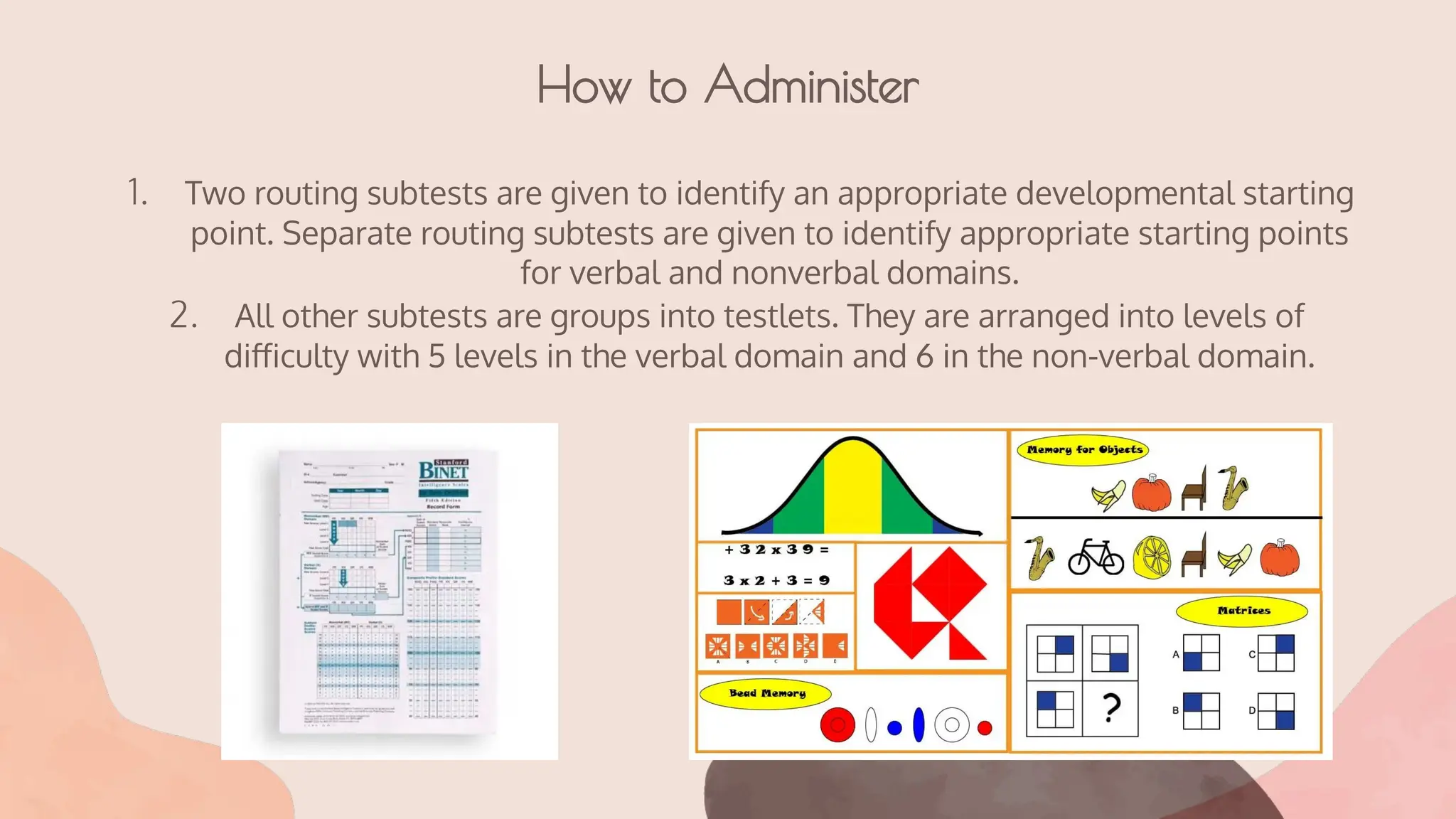 Stanford-Binet Intelligence Scale Presentation | PDF