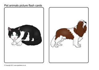 Pet animals flash card printable and big | PDF