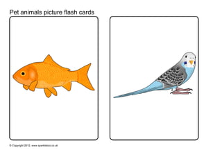 Pet animals flash card printable and big | PDF