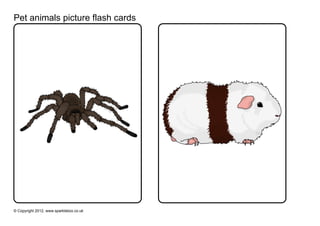 Pet animals flash card printable and big | PDF