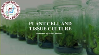 Plant Cell and Tissue Culture | PPTX