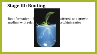 Plant Cell and Tissue Culture | PPTX
