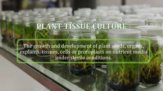 Plant Cell and Tissue Culture | PPTX