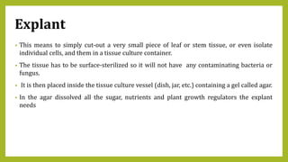 Plant Cell and Tissue Culture | PPTX