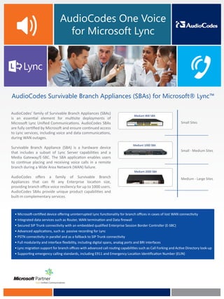 Sba brochure 2013 | PDF | Computer Networking | Computing