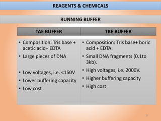 Essentials of Gel Electrophoresis | PPTX