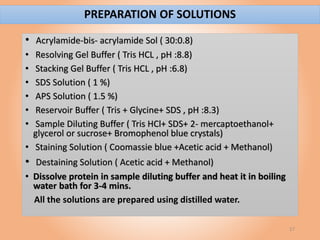 Essentials of Gel Electrophoresis | PPTX