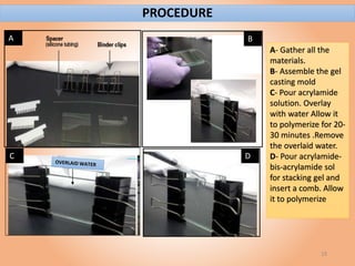 Essentials of Gel Electrophoresis | PPTX