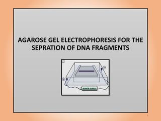 Essentials of Gel Electrophoresis | PPTX