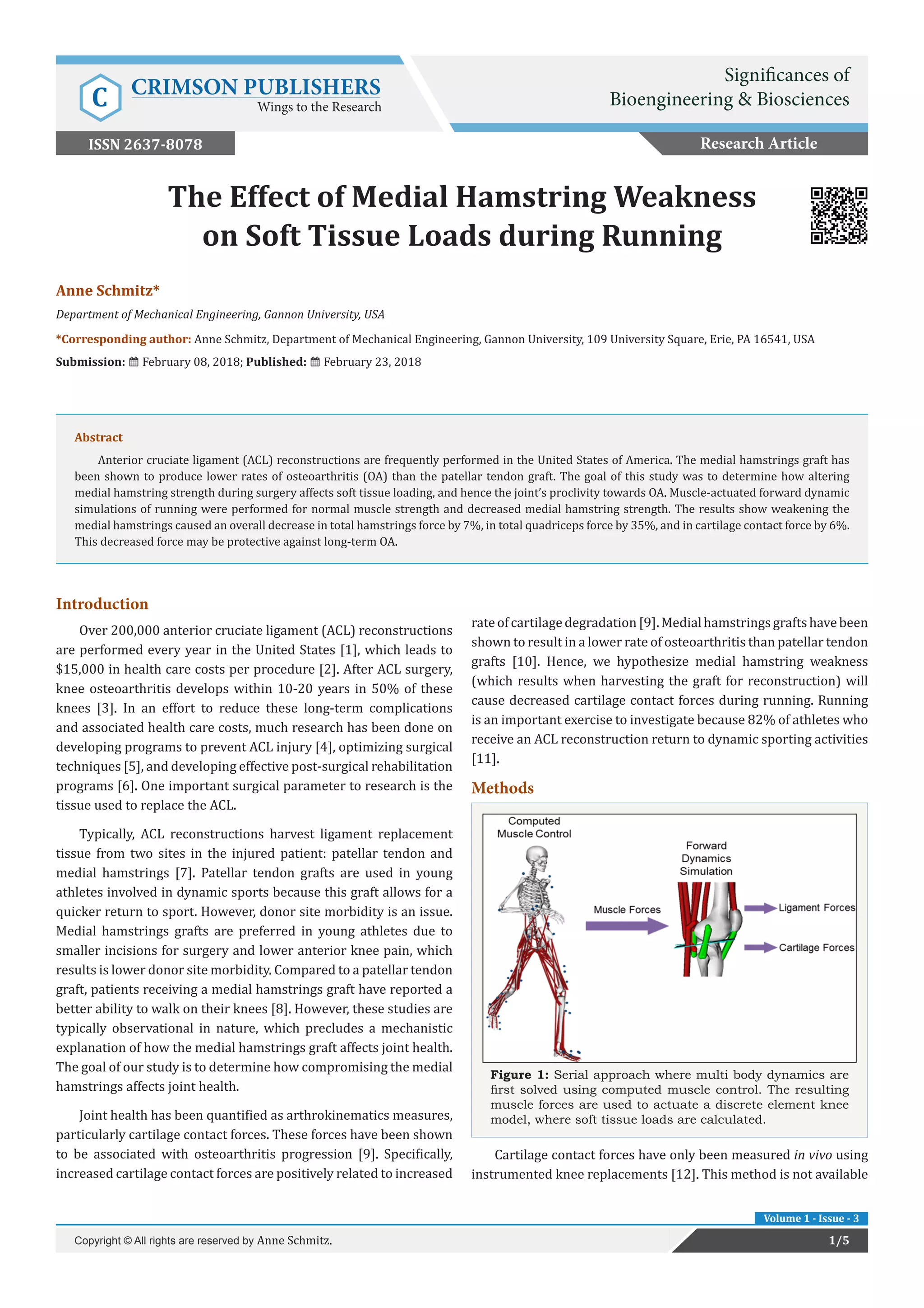 Crimson Publishers- The Effect of Medial Hamstring Weakness on Soft ...