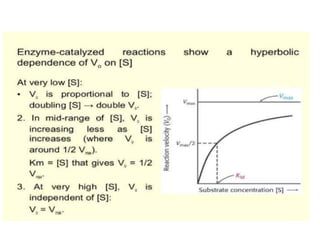 biochemistry notes on the importancce oc enzymes | PPT