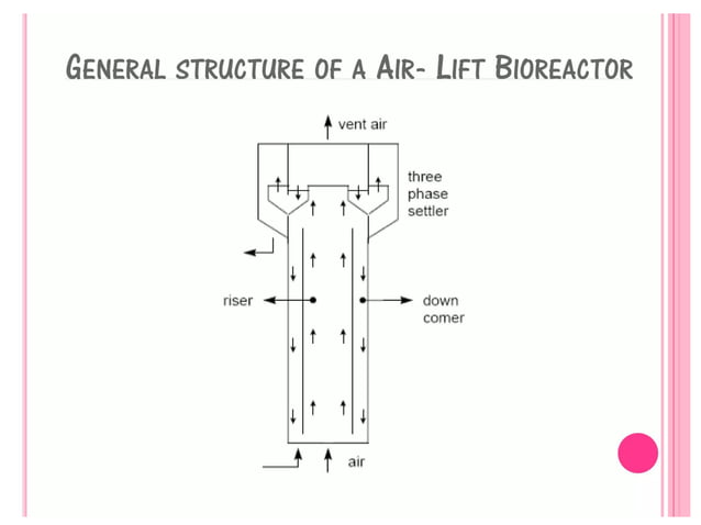 bioreactors and their uses in fermentation technology | PPT