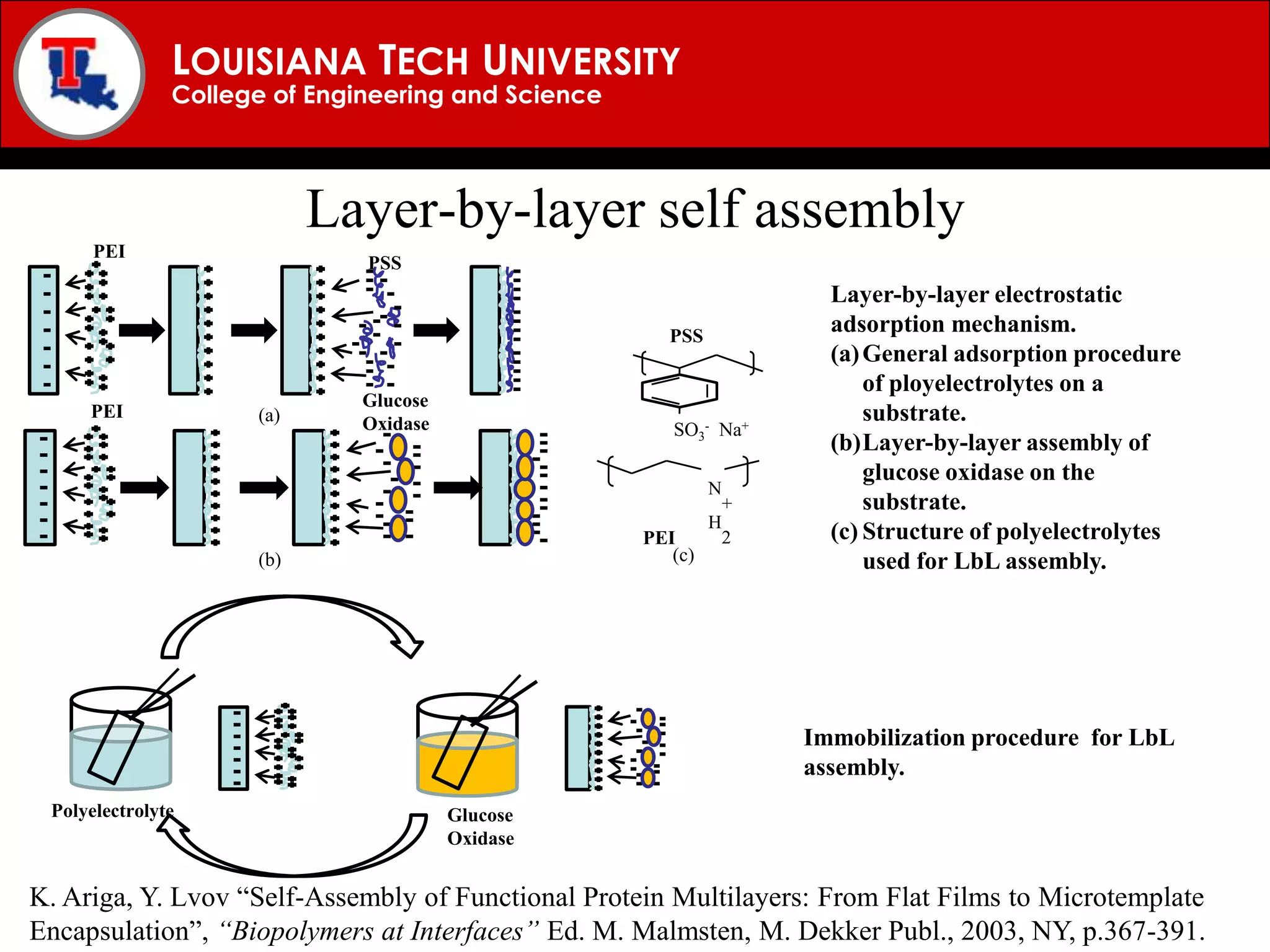 Dynamic Thermoelectric Glucose sensing with Layer-by-Layer Glucose Oxidase Immobilization | PPTX