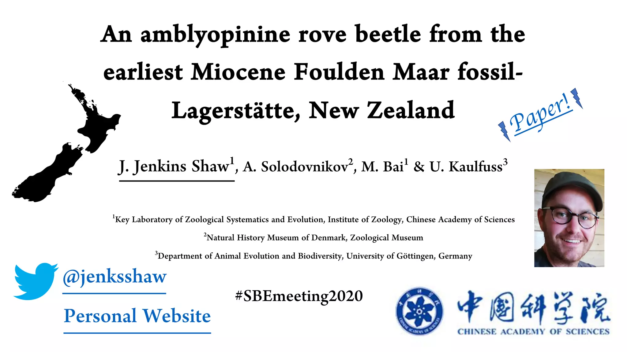 An amblyopinine rove beetle from the earliest Miocene Foulden Maar ...
