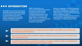 Does centromeric CENP-A coevolve with an interacting kinetochore CENP-N ...