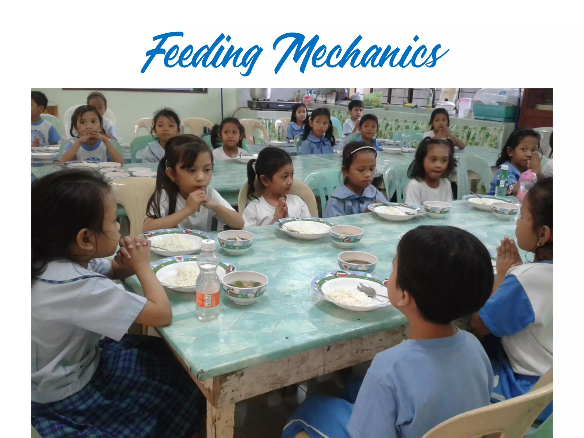 SBFP Orientation 2018 | PDF