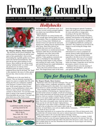 Straw Bale Gardening ~ South Dakota | PDF