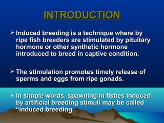 indused breeding for fish | PPT