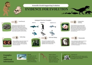SBI3U Unit 3 All About Evolution Posters | PPT