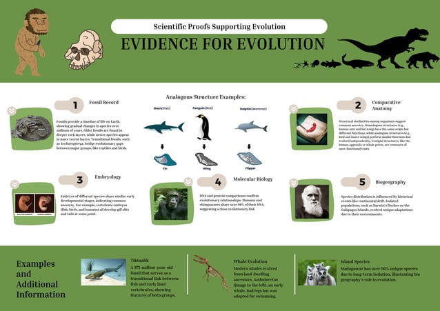 SBI3U Unit 3 All About Evolution Posters | PPT