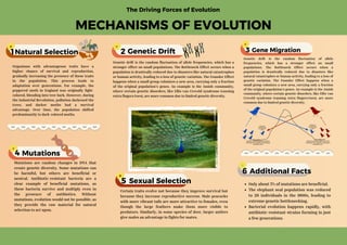 SBI3U Unit 3 All About Evolution Posters | PDF