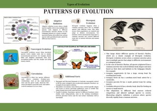 SBI3U Unit 3 All About Evolution Posters | PPT