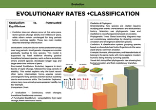 SBI3U Unit 3 All About Evolution Posters | PPT