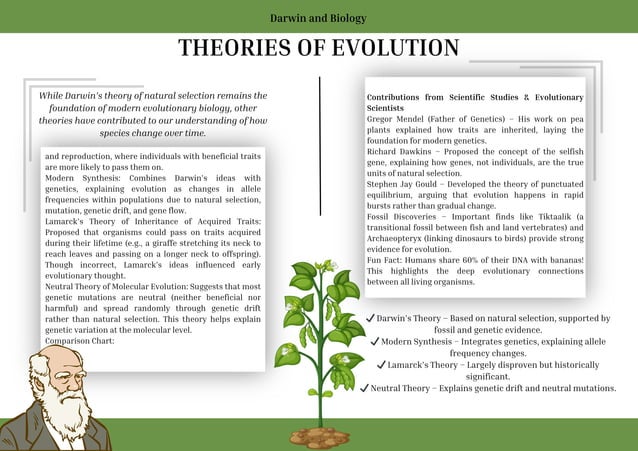 SBI3U Unit 3 All About Evolution Posters | PPT