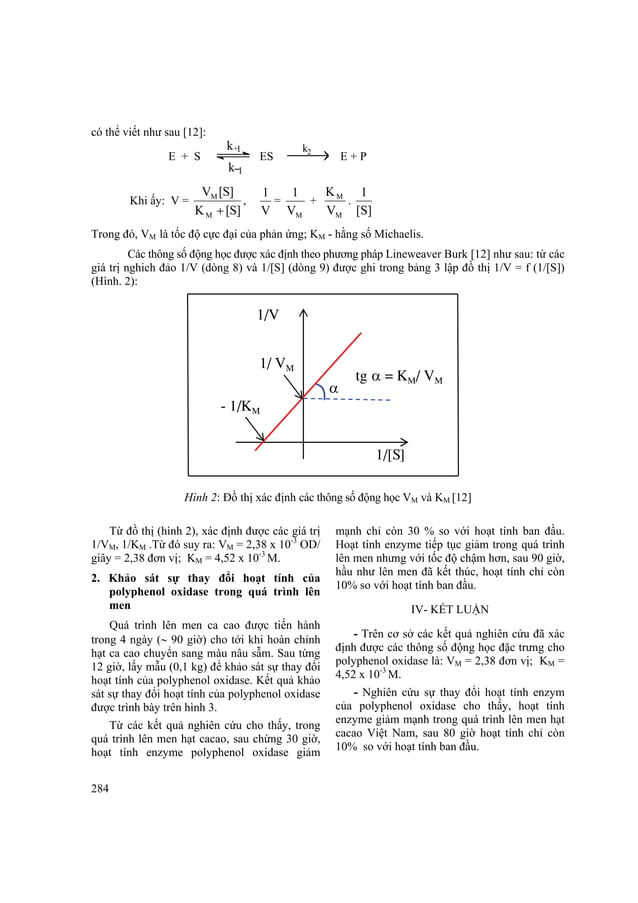 Sư bien doi hoat tinh ez polyphenol oxidase trong qua trinh len men cacao | PDF