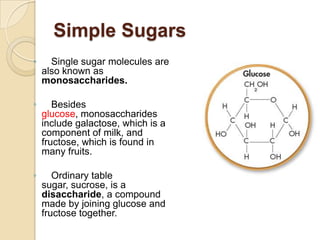 life’s molecules | PPTX