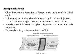 PARENTERAL DRUG DELIVERY SYSTEM | PPTX